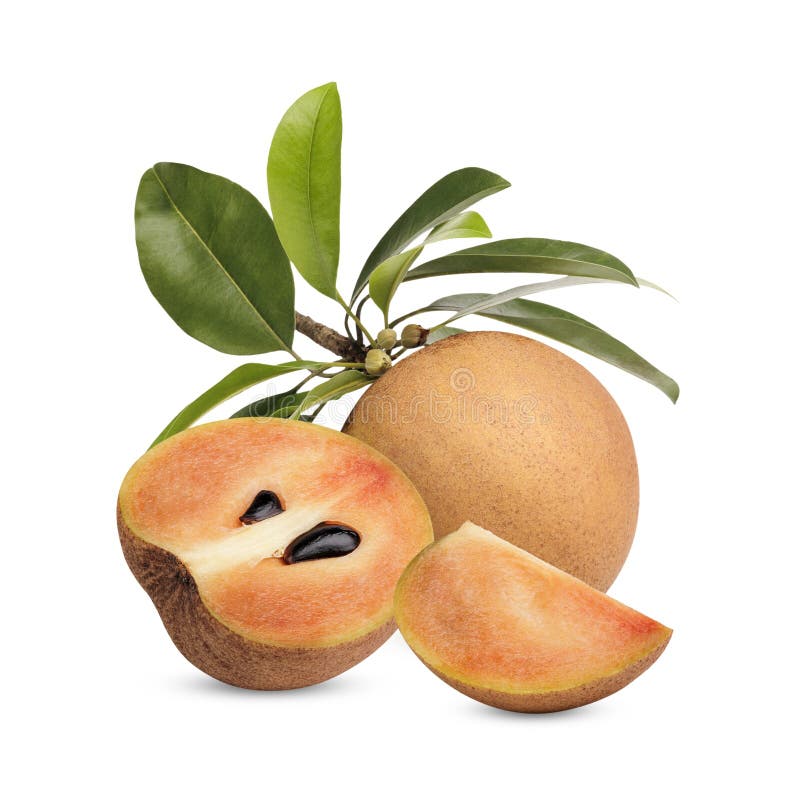 Fresh Sapodilla with Leaves Isolated on White Background Stock Image ...