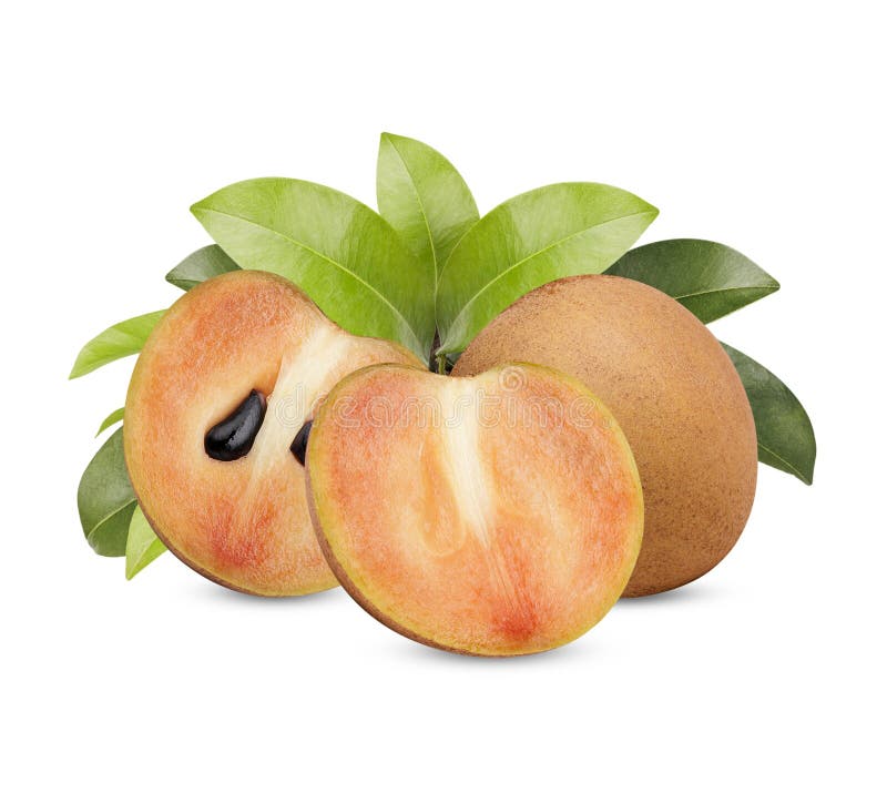 Fresh Sapodilla with Leaves Isolated on White Background Stock Image ...