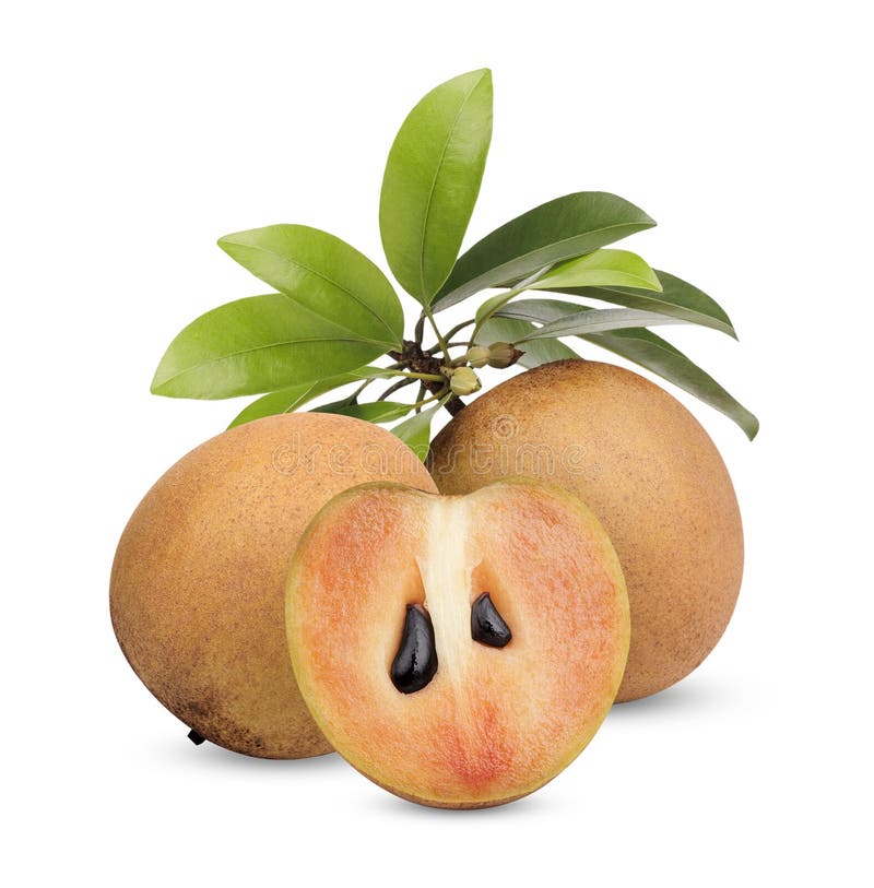 Fresh Sapodilla with Leaves Isolated on White Background Stock Image ...
