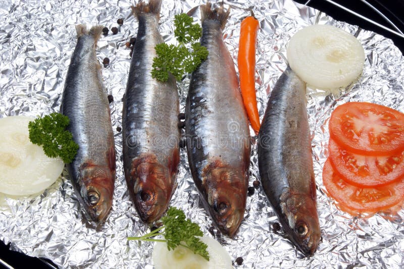 Fresh Sardines before Cooking As Food Stock Image - Image of nutrition ...
