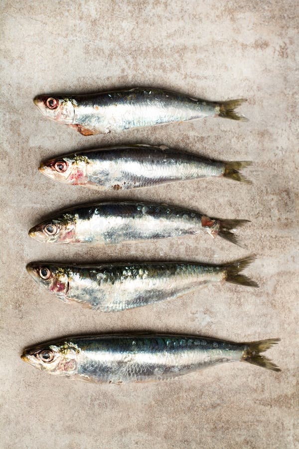 Fresh Sardines for a Good Dish Stock Photo - Image of macro, fresh ...