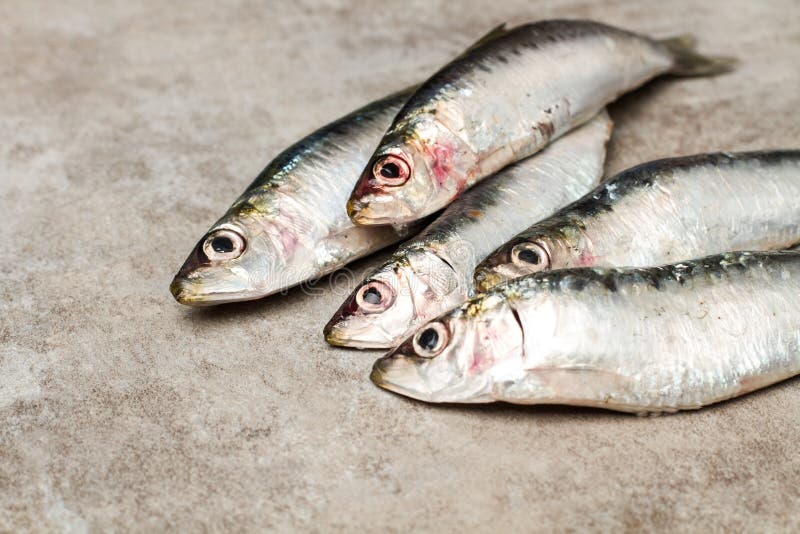 Fresh Sardines for a Good Dish Stock Photo - Image of sardine, market ...