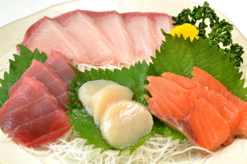 Sashimi stock photo. Image of salmon, sashimi, cold, fish - 50139038
