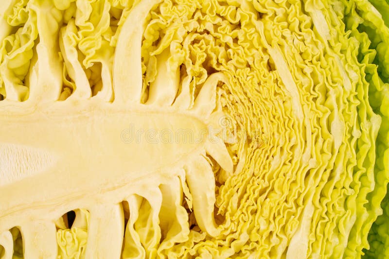 Fresh Savoy Cabbage with Kitchen Utensils Isolated on White, Black ...