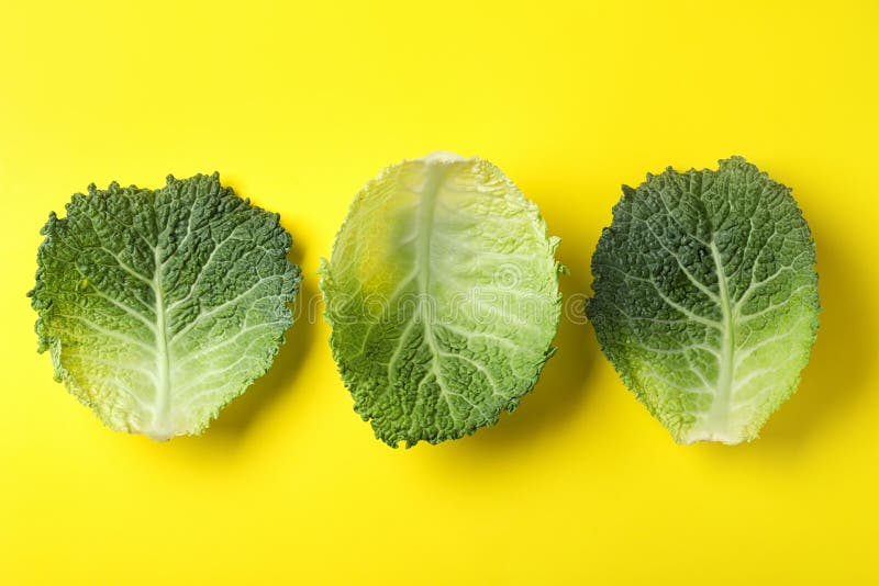 Fresh Savoy Cabbage Leaves on Yellow Background Stock Image - Image of ...