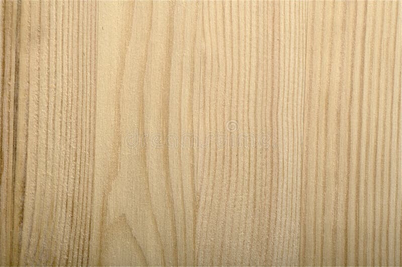 Fresh Sawed Pine-tree Wood Texture Unpolished Stock Image - Image of ...