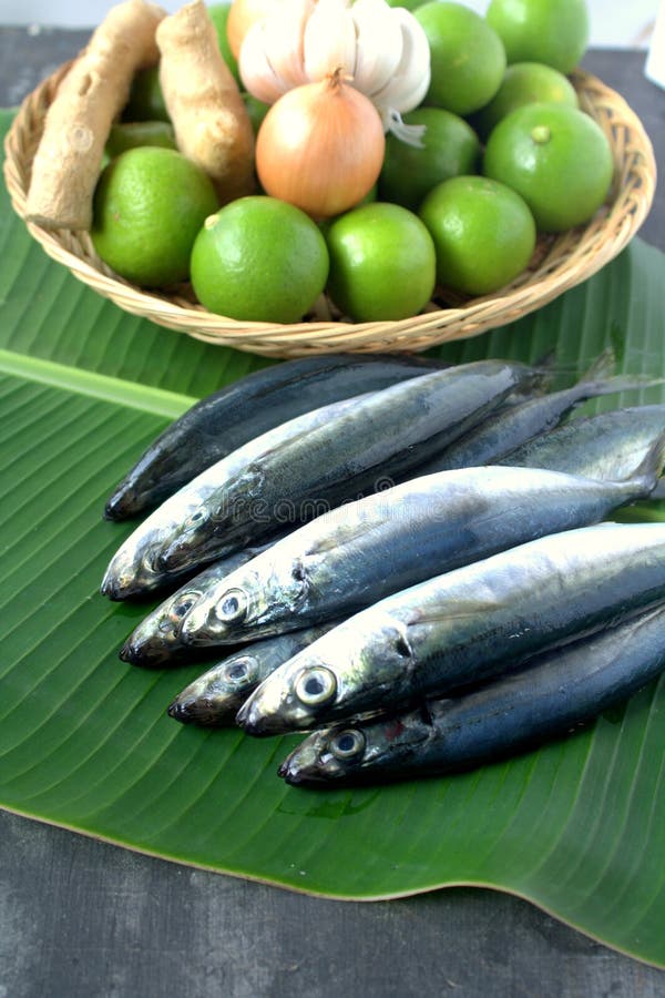 Fresh Scad stock image. Image of seafood, mackerel, japanese - 58974351