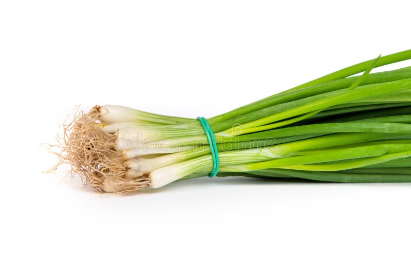 2,484 Scallions Isolated Stock Photos - Free & Royalty-Free Stock ...