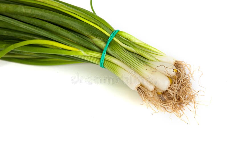 Fresh Scallions Isolated on White Stock Image - Image of green, spice ...