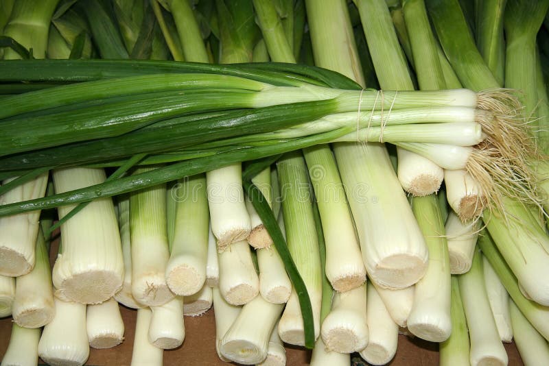 Fresh scallions and leek stock photo. Image of heap, ingredient - 30616788