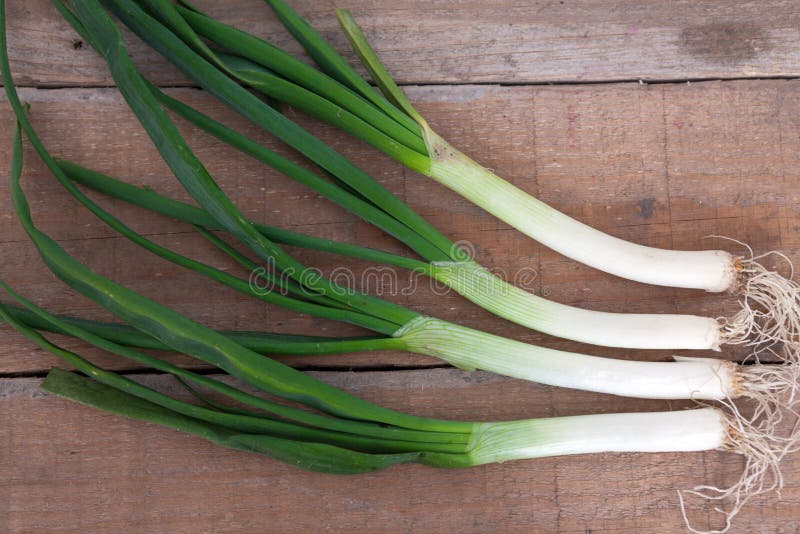 Fresh Scallions stock image. Image of vegetable, healthy - 63781077
