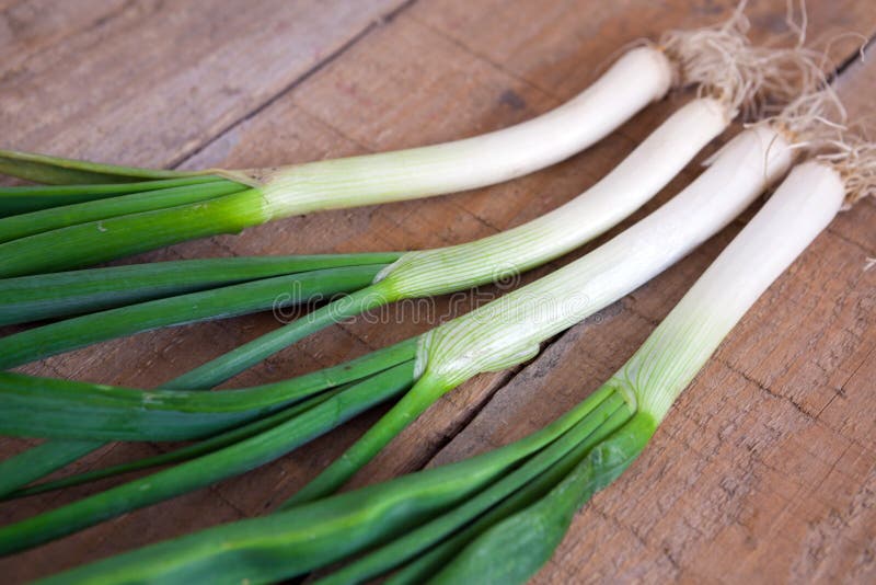 Fresh Scallions stock photo. Image of green, spring, food - 63781116