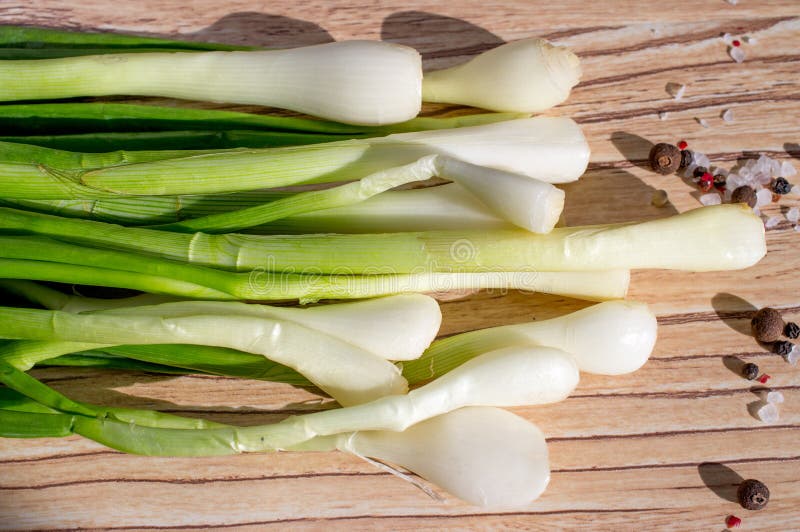 Fresh scallions stock image. Image of onion, freshness - 42771499