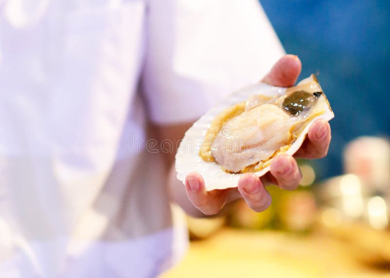 562 Scallop Seafood Shell Open Stock Photos - Free & Royalty-Free Stock ...