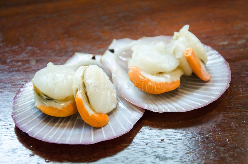 Fresh scallop with shell stock image. Image of cooking - 141209955