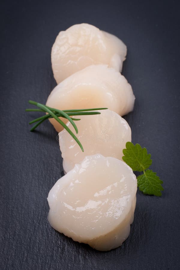 Sea Scallop with Greens in a Scallop Shell Stock Photo - Image of fresh ...