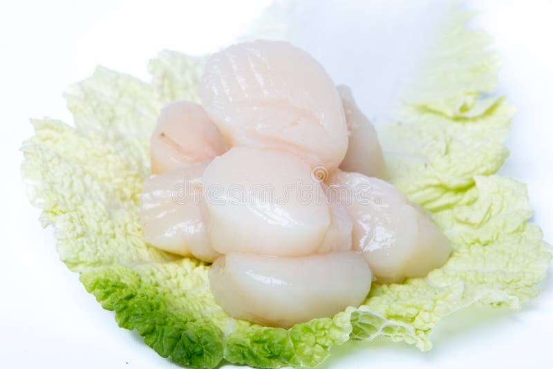 3,763 Raw Scallops Stock Photos - Free & Royalty-Free Stock Photos from ...