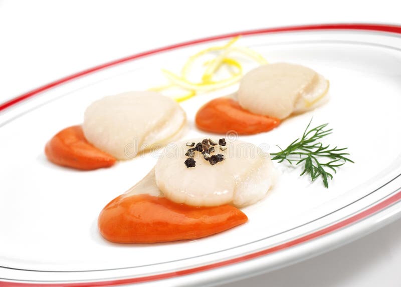 Fresh Scallops Pecten Maximus Dill Plate Stock Photos - Free & Royalty ...