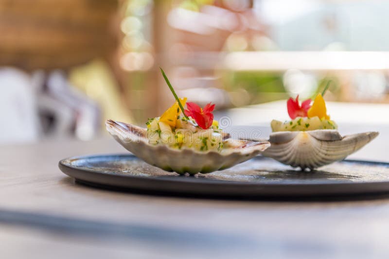 Fresh Scallops Tartar with Small Pieces Stock Photo - Image of fresh ...