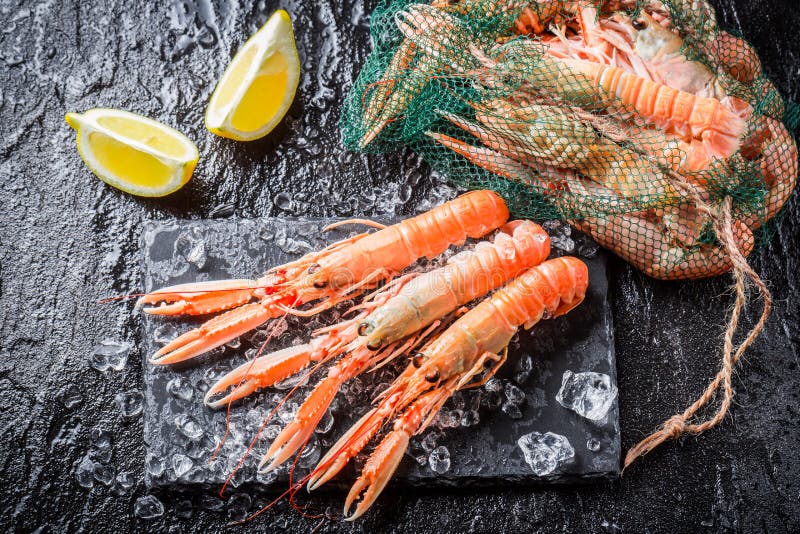 Fresh Scampi Served on the Beach in a Blue Bowl Stock Image - Image of ...