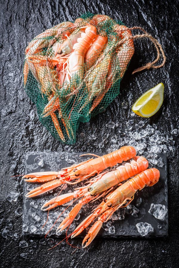 Fresh Scampi on Crushed Ice Stock Photo - Image of crayfish, freshness ...