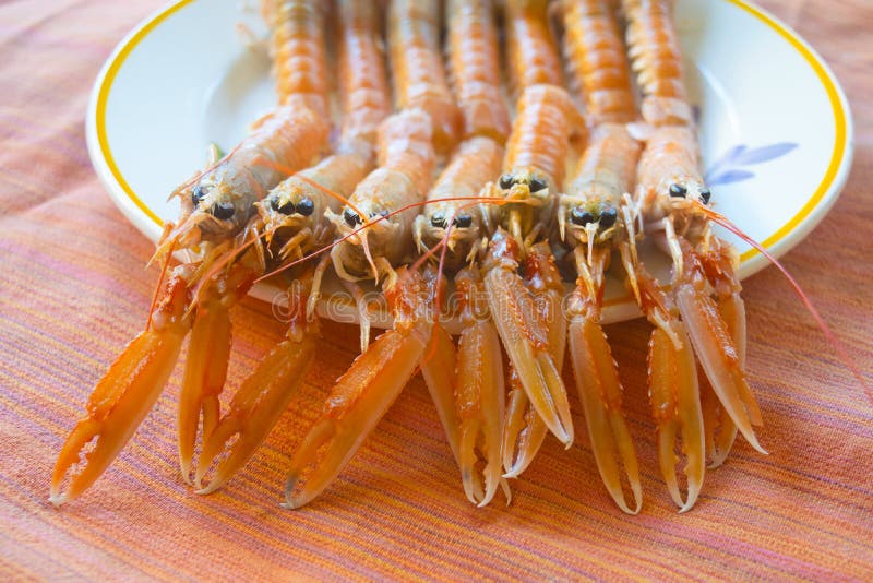 Fresh Scampi of Mediterranean Sea Stock Photo - Image of crawfish ...