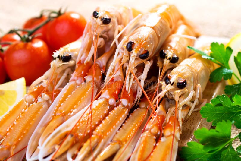 Fresh Scampi / Nephrops Norvegicus Stock Image - Image of cool, scampi ...