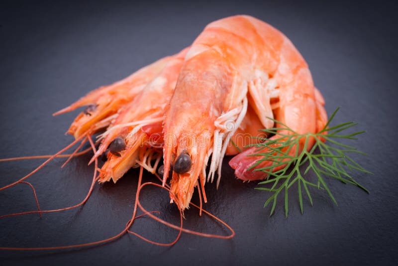 Fresh scampi stock photo. Image of recipe, delicious - 30404136