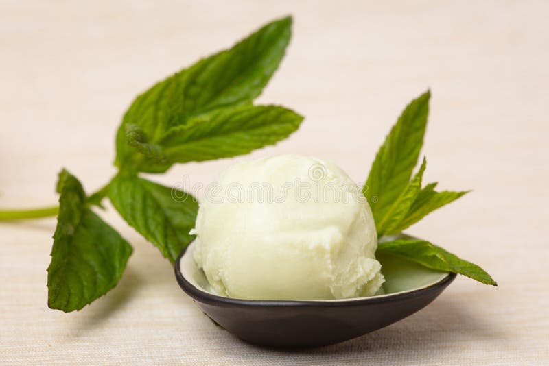 Fresh Scoop of Mint Ice with Fresh Mint Stock Image - Image of mint ...