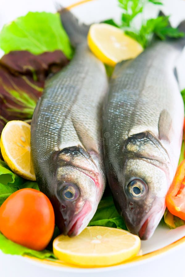 Fresh sea bass stock photo. Image of market, saltwater - 16474192