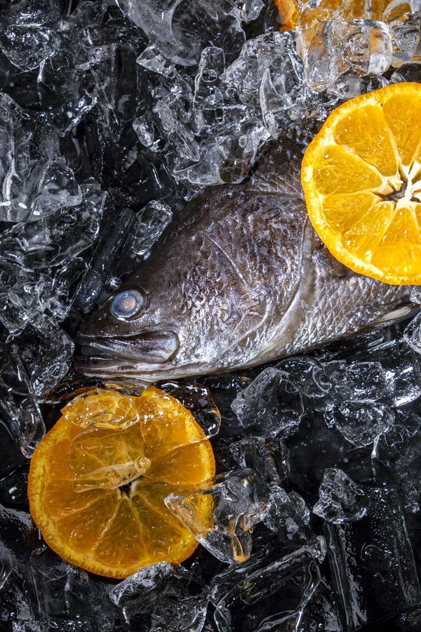 Fresh Sea Bass Fish on Ice on a Black Stone Table Top View Stock Image ...