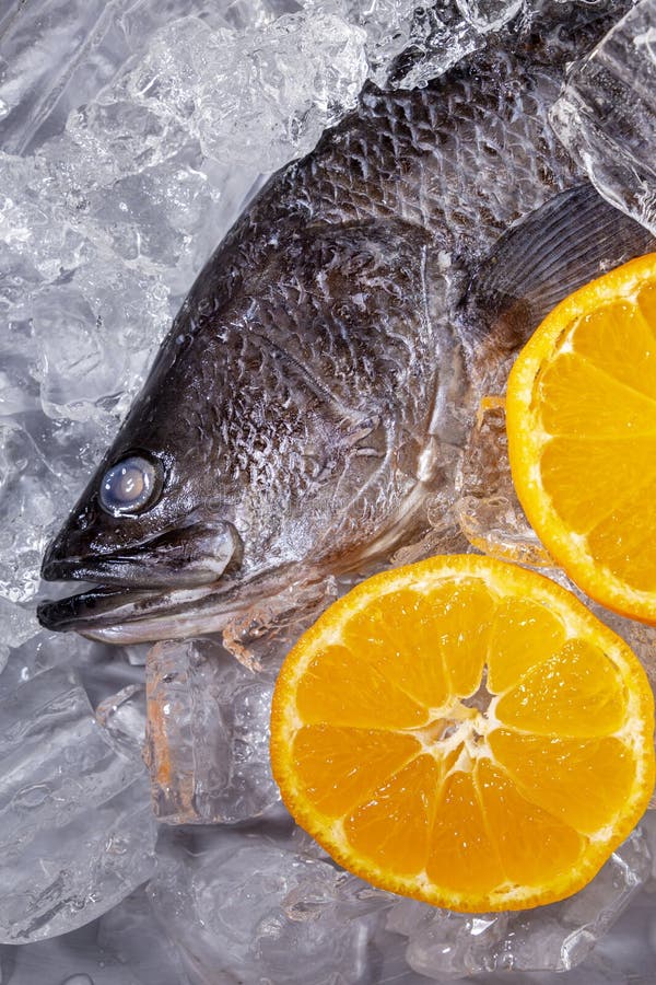 Fresh Sea Bass Fish on Ice on a Black Stone Table Top View Stock Image ...