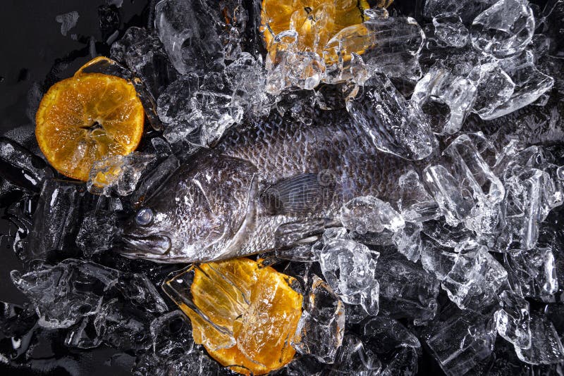 Fresh Sea Bass Fish on Ice on a Black Stone Table Top View Stock Photo ...