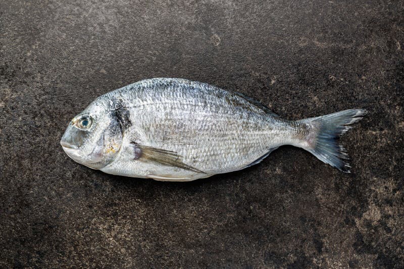 Fresh Sea Bream Fish on Kitchen Table. Top View Stock Image - Image of ...