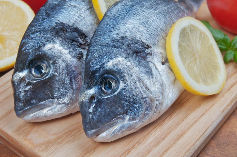 Fresh sea bream fish stock photo. Image of gastronomy - 74420114