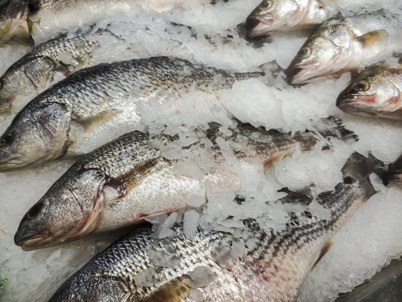 Fresh Sea Fish on the Market Close Up Stock Photo - Image of qiehe ...
