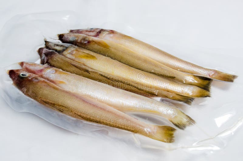 Fresh sea fish stock photo. Image of fish, city, soup - 61247744