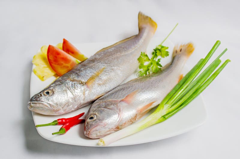 Fresh sea fish stock photo. Image of fresh, foods, freezing - 61247756