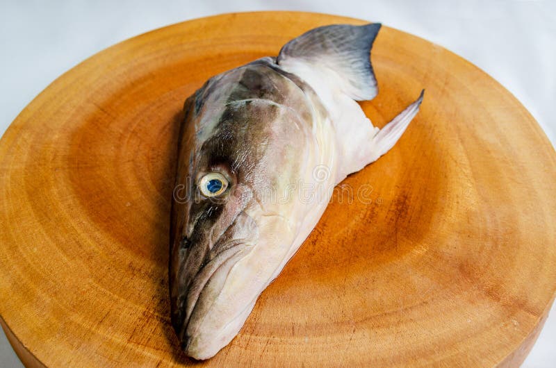 Fresh sea fish stock photo. Image of fresh, fish, frying - 61247782