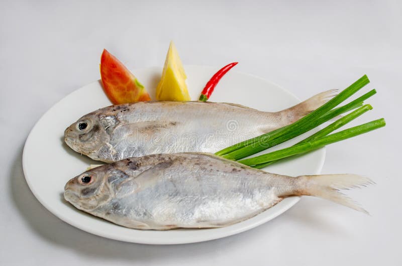 Fresh sea fish stock photo. Image of fresh, halibut, seaside - 61247838