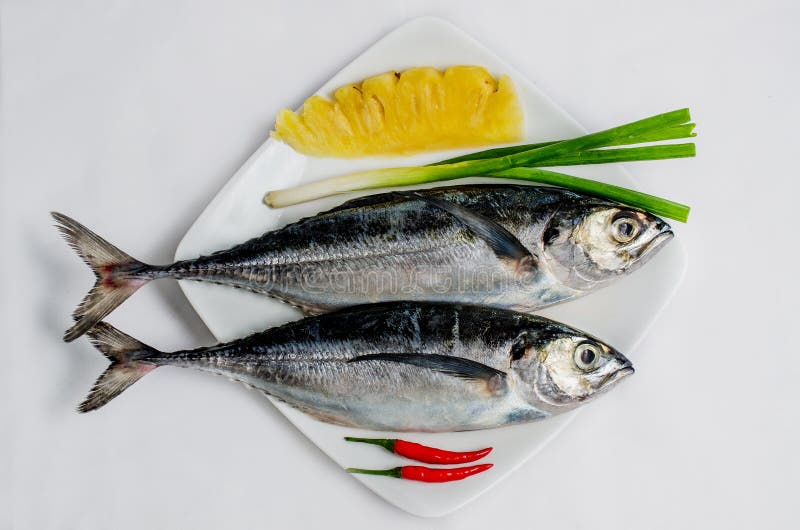 Fresh sea fish stock photo. Image of cutting, fresh, cold - 61247866