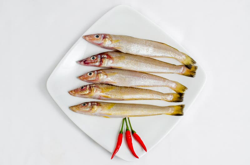 Fresh sea fish stock photo. Image of fresh, fried, country - 61247976
