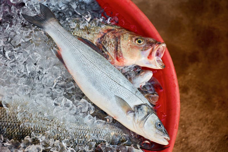 Fresh sea fish stock image. Image of health, freshness - 153664155