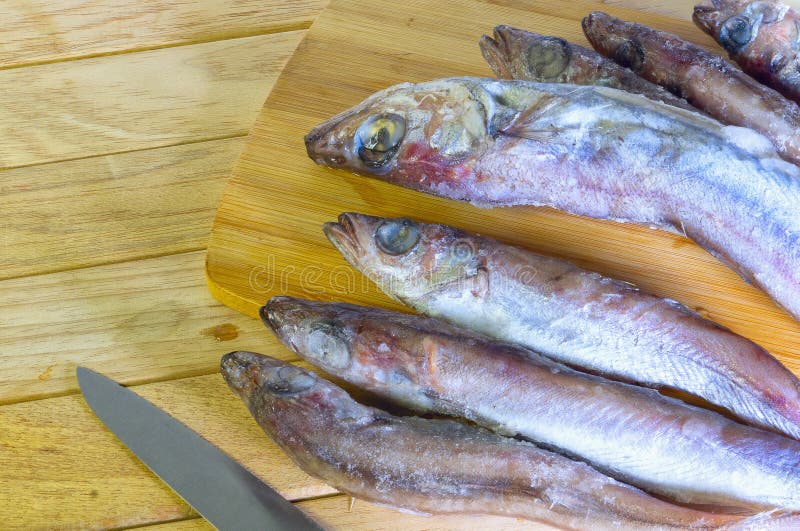 Fresh Sea Nutritious Fish, Carcass Stock Image - Image of industry ...