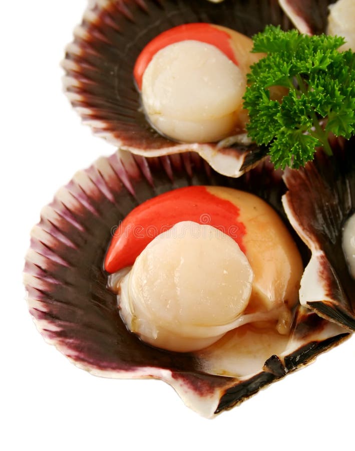 Fresh Sea Scallops stock image. Image of scallops, shellfish - 7687099