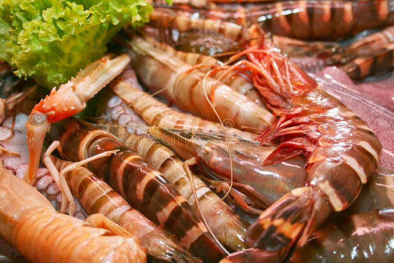 Seafood selection stock photo. Image of dinner, cuisine - 496352