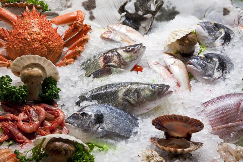 Fresh seafood stock image. Image of shell, cooling, seafood - 15043117
