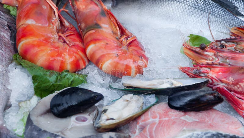 Fresh seafood stock photo. Image of freshness, aquatic - 20907822