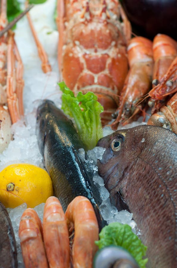 Fresh seafood stock image. Image of gourmet, meal, fresh - 26540873