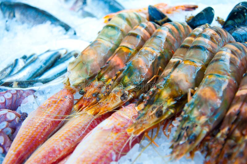 Fresh seafood stock photo. Image of shell, restaurant - 21378284